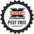 Expest – Pest Control, Wildlife Control, and Exterminators - Pest ...